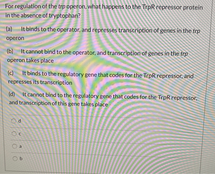 Solved For regulation of the trp operon, what happens to in | Chegg.com