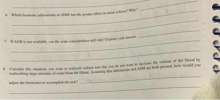 Solved 6. Which hormone (aldosterone or ADH ) has the | Chegg.com
