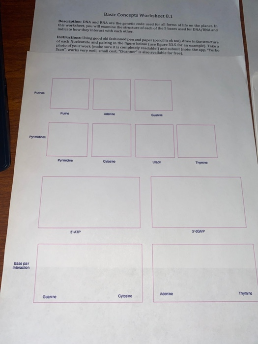 Basic Concepts Worksheet2 Basic Concepts Worksheet | Chegg.com