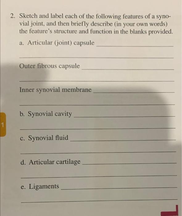 Solved Sketch and label each of the following features of a | Chegg.com