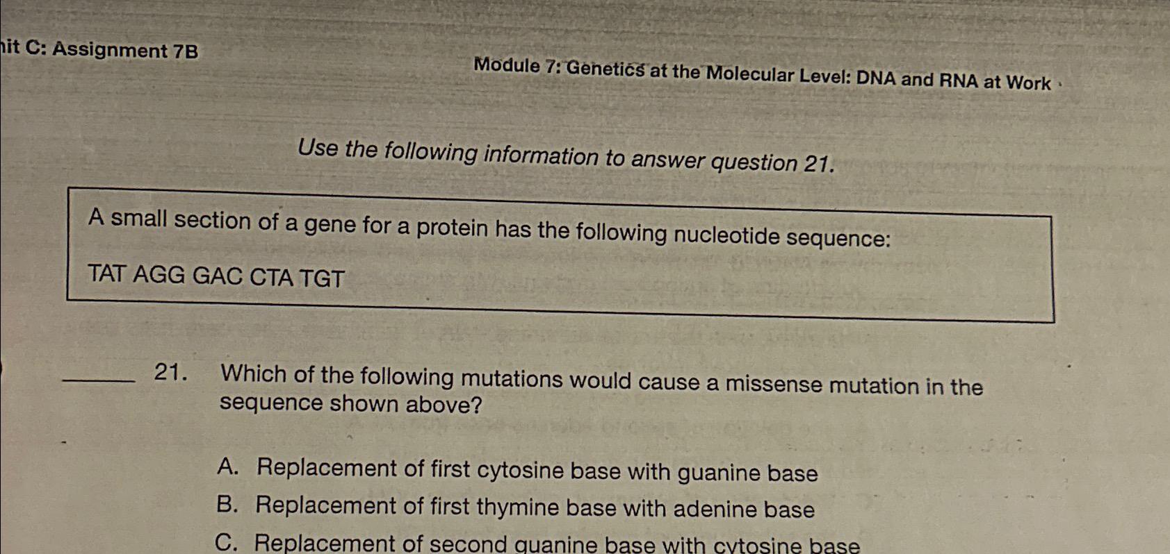 Solved Assignment 7BModule 7: Genetics at the Molecular | Chegg.com