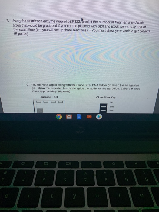 Solved B. Using the restriction enzyme map of PBR322. | Chegg.com