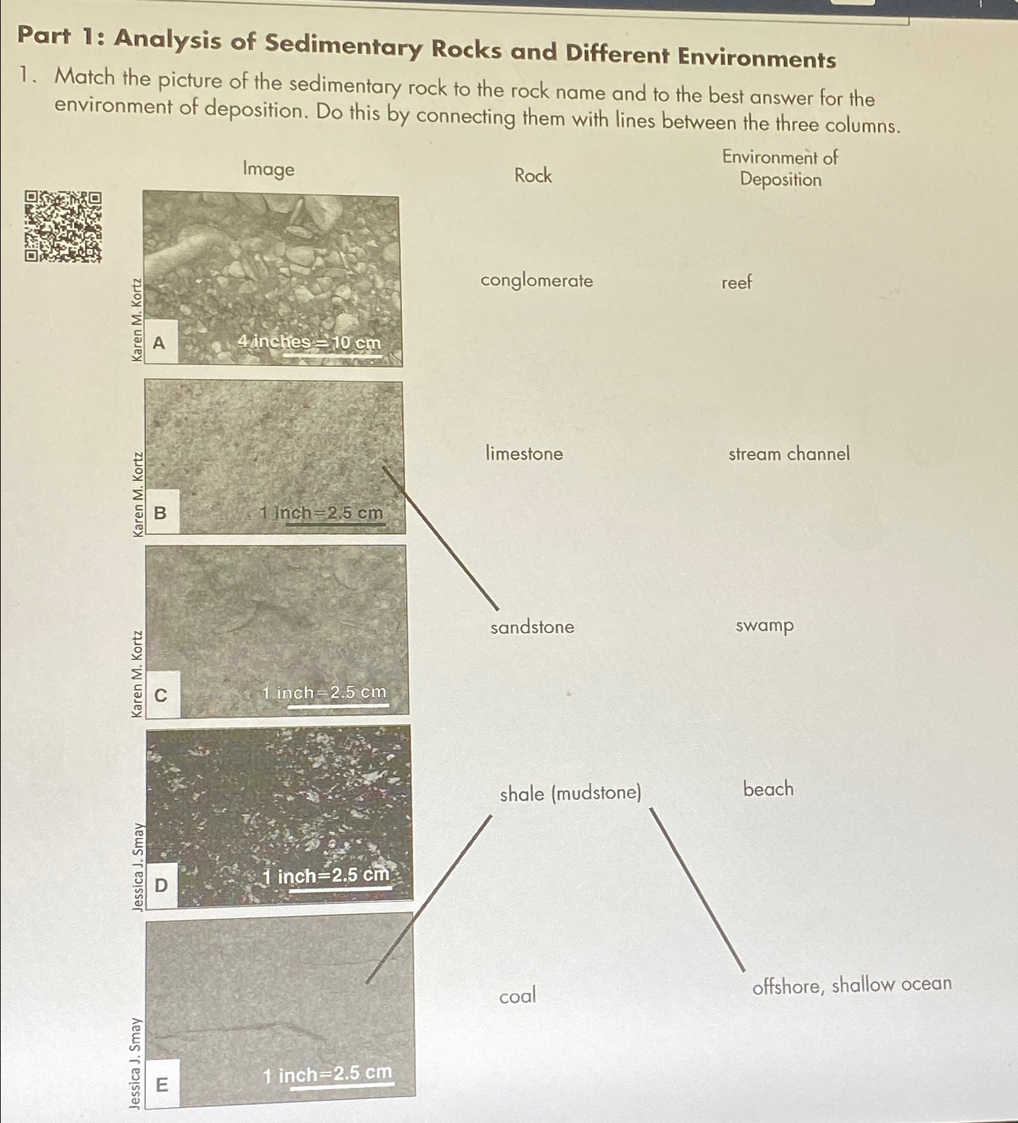 Solved Part 1: Analysis of Sedimentary Rocks and Different | Chegg.com