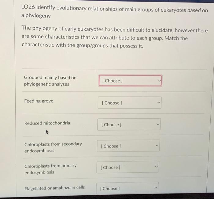 Solved LO26 Identify evolutionary relationships of main | Chegg.com