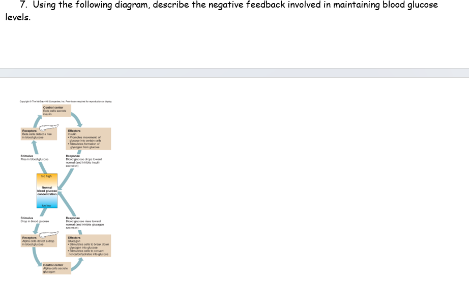 Solved Using the following diagram, describe the negative | Chegg.com