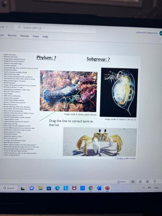Solved Invertebrate Animals Diversity Lab * Objectives - | Chegg.com