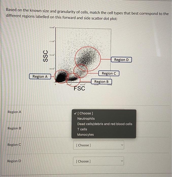 Solved Based on the known size and granularity of cells, | Chegg.com