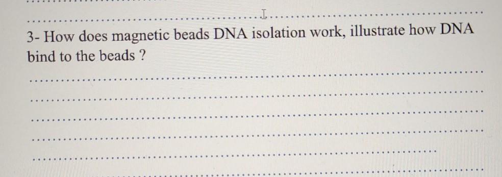 Solved 3- How does magnetic beads DNA isolation work, | Chegg.com