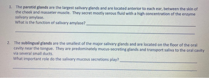 Solved 1. The parotid glands are the largest salivary glands | Chegg.com
