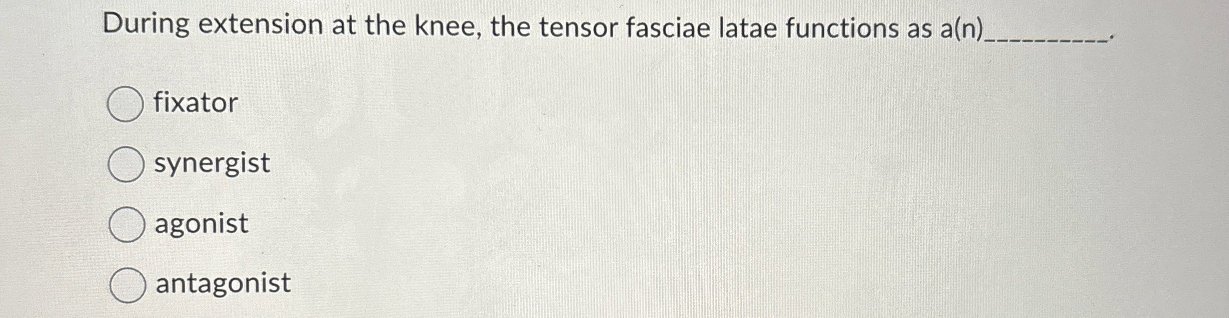 Solved During extension at the knee, the tensor fasciae | Chegg.com