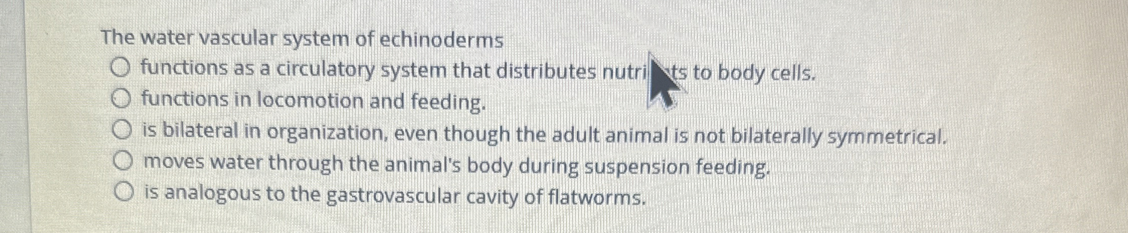 Solved The water vascular system of echinodermsfunctions as | Chegg.com