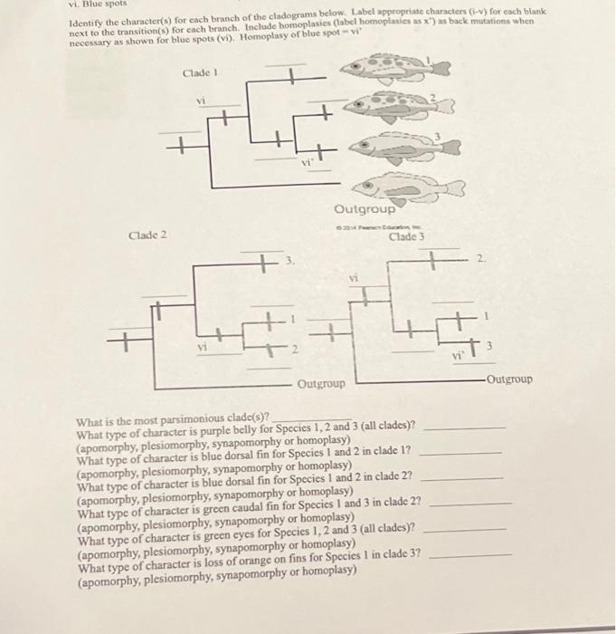 Solved vi. Blue spots Identify the character(s) for cacb | Chegg.com