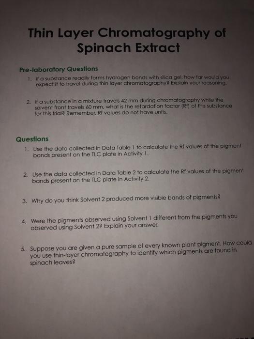 Solved Thin Layer Chromatography of Spinach Extract | Chegg.com