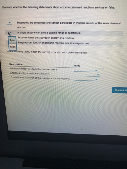 Solved 5. Enzyme-catalyzed reactions Evaluate whether the | Chegg.com