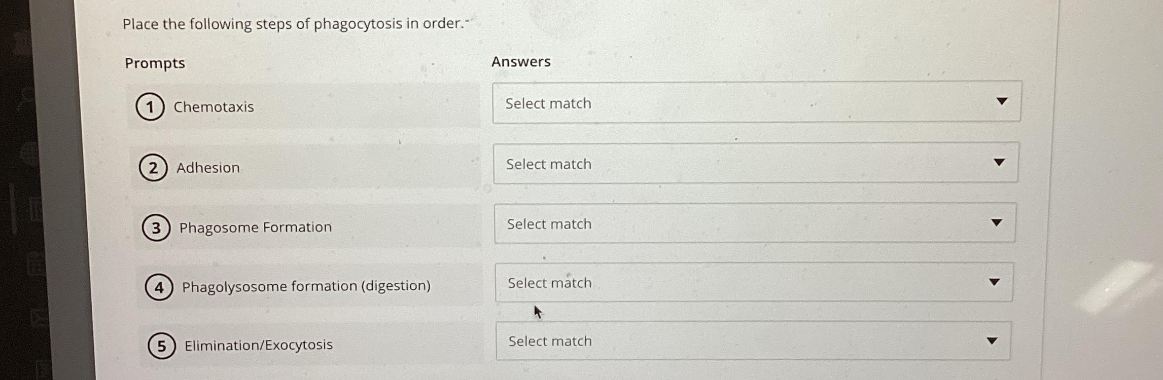 Solved Place the following steps of phagocytosis in | Chegg.com
