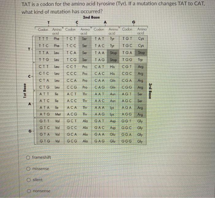 Solved TAT is a codon for the amino acid tyrosine (Tyr). If | Chegg.com