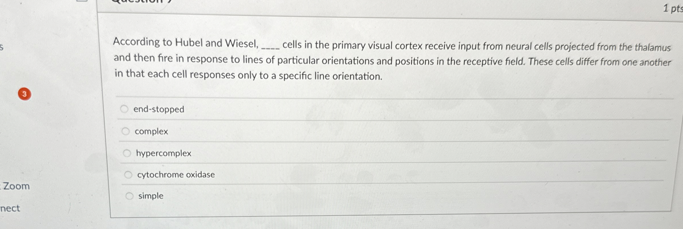 Solved According to Hubel and Wiesel,cells in the primary | Chegg.com