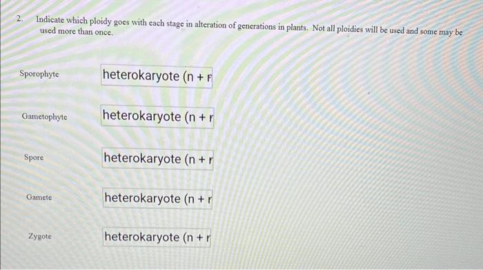 Solved 2. Indicate which ploidy goes with each stage in | Chegg.com
