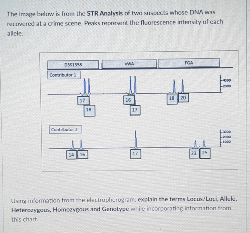 Solved The image below is from the STR Analysis of two | Chegg.com