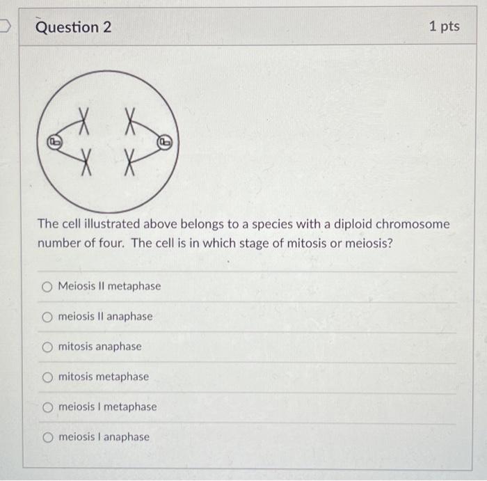 Solved the cell illustrated above belongs to a species with | Chegg.com