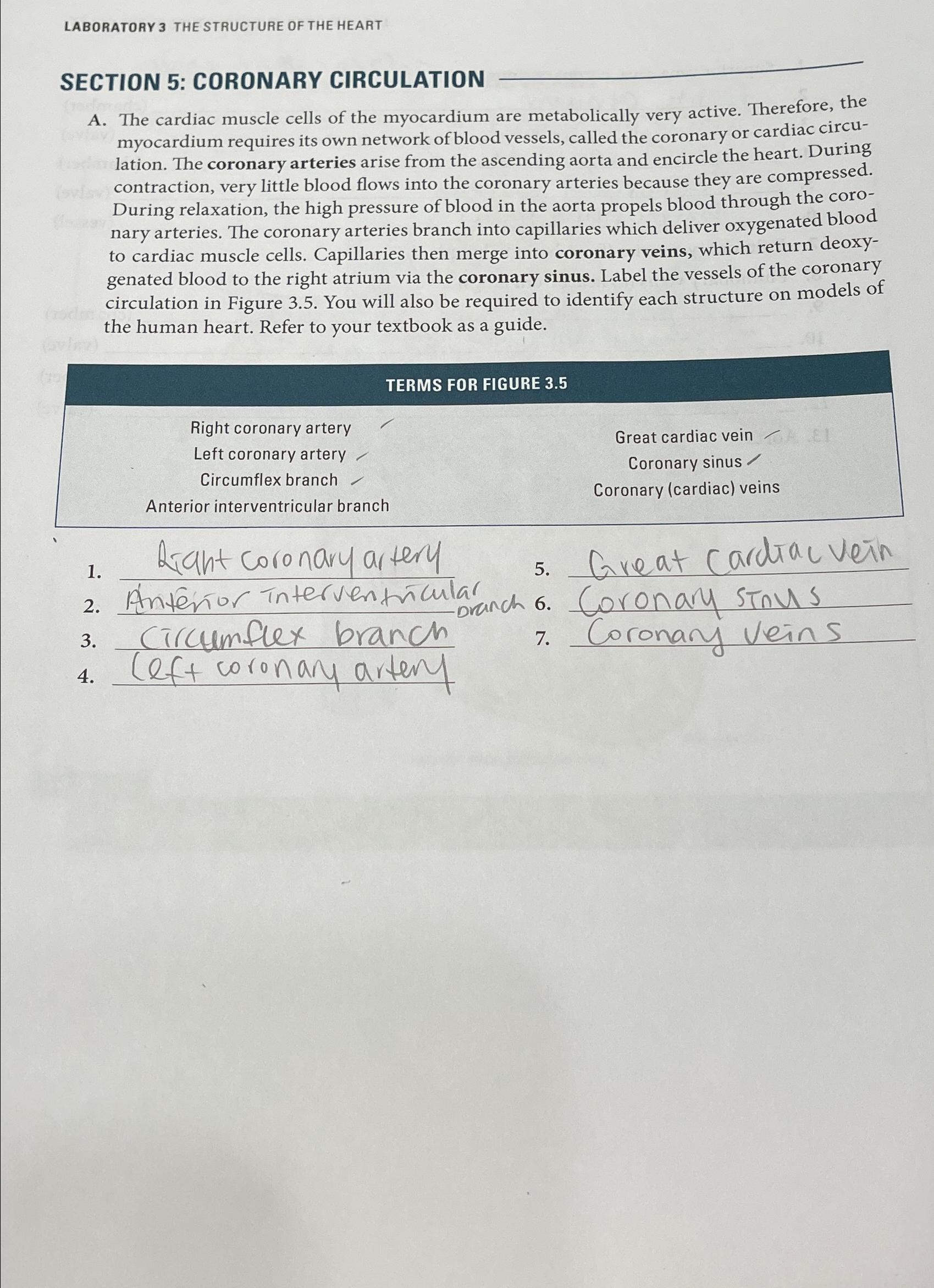 Solved LABORATORY 3 ﻿THE STRUCTURE OF THE HEARTSECTION 5: | Chegg.com
