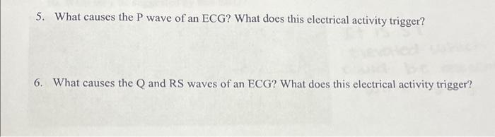 Solved 5. What causes the P wave of an ECG? What does this | Chegg.com