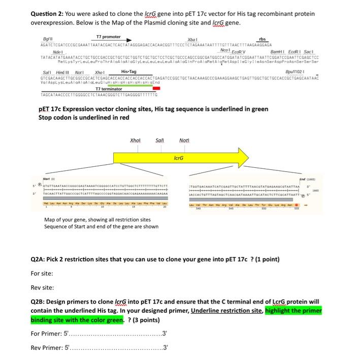Solved Question 2: You were asked to clone the /crG gene | Chegg.com