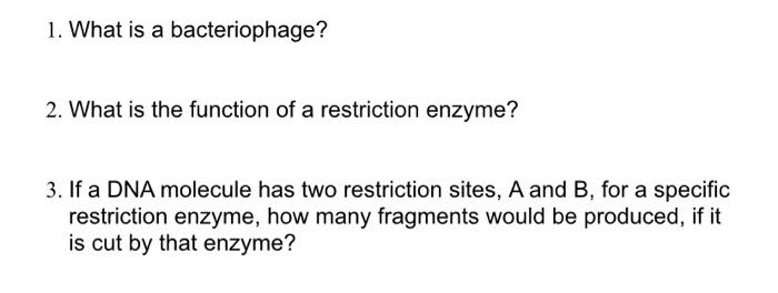 Solved 1. What is a bacteriophage? 2. What is the function | Chegg.com