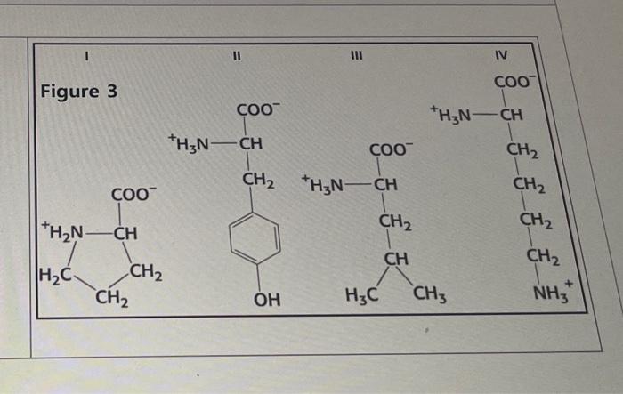 Solved Draw the peptide with the amino acid sequence | Chegg.com