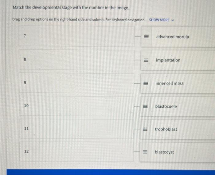 Solved Match the developmental stage with the number in the | Chegg.com
