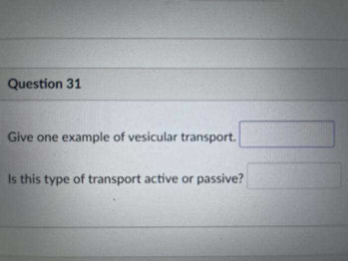 Solved Question 31 Give one example of vesicular transport. | Chegg.com