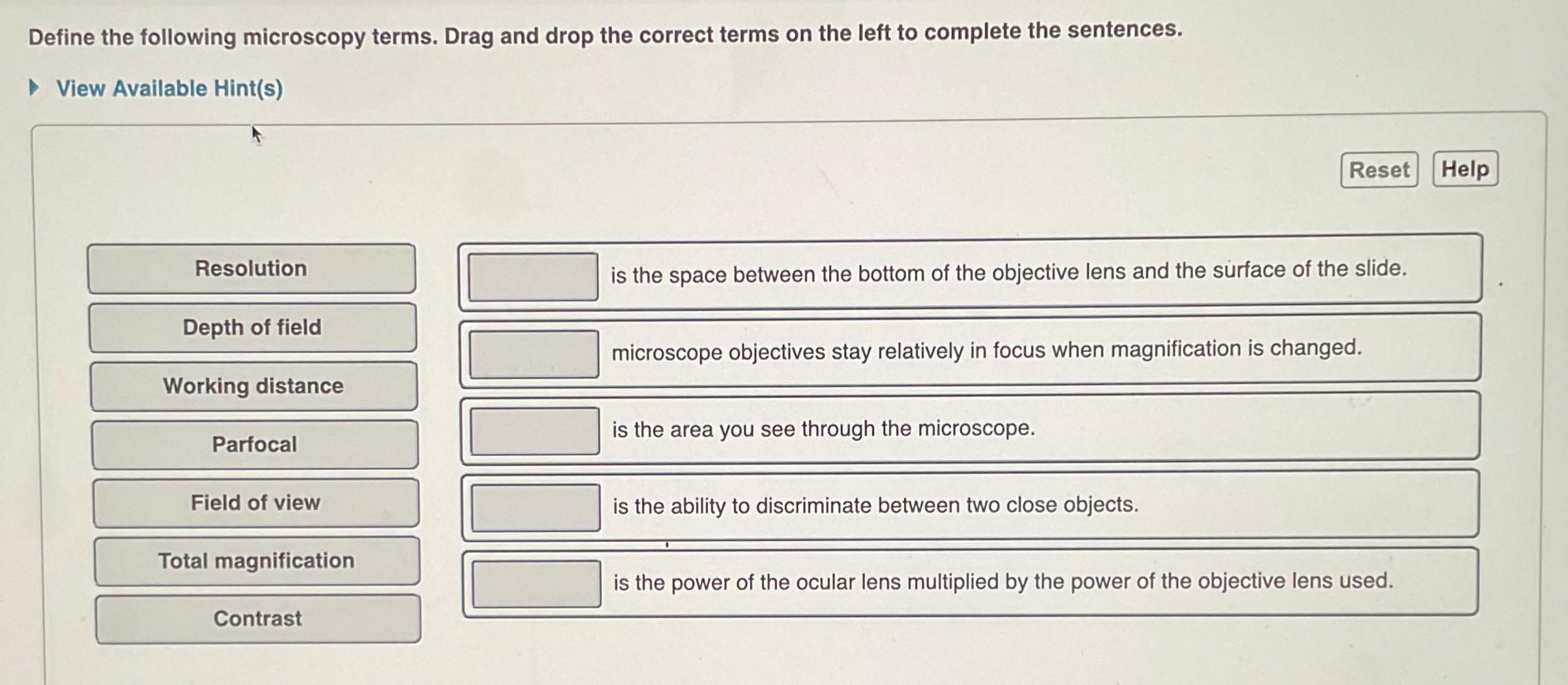 Solved Define the following microscopy terms. Drag and drop | Chegg.com