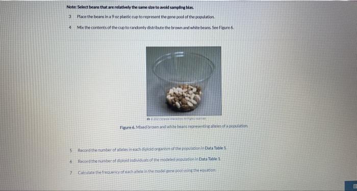 Exercise 2 Modeling Natural Selection only weiert | Chegg.com
