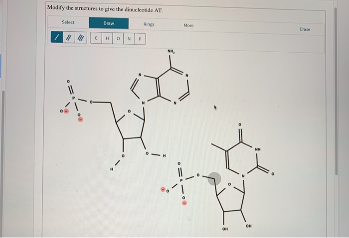 Solved Modify the structures to give the dinucleotide AT. | Chegg.com
