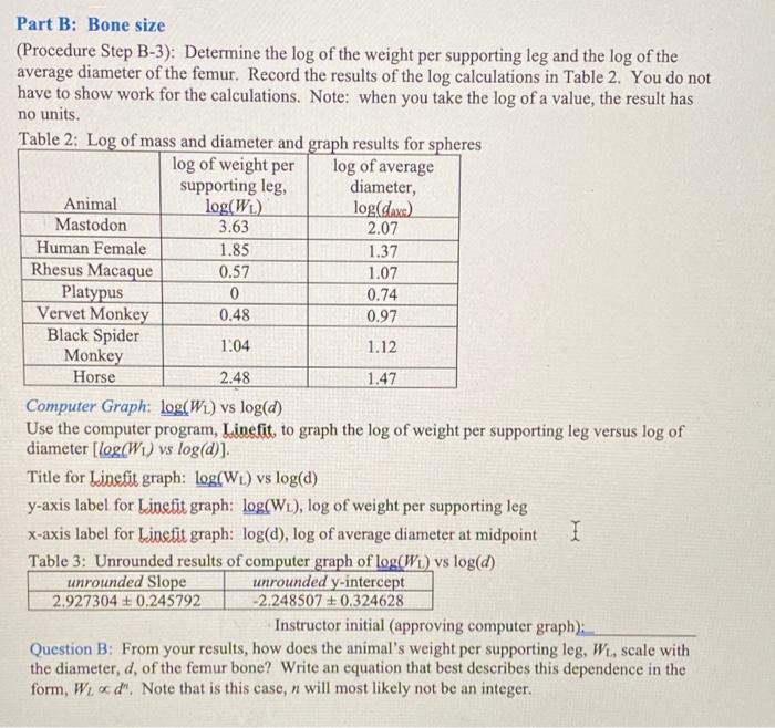 Solved Part B: Bone size (Procedure Step B-3): Determine the | Chegg.com