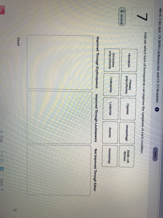 Solved: Week 2 Lab Quiz: Ch 18/19 Cardiovascular And Ch 22... | Chegg.com