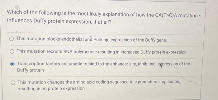 Solved How does the GA(T>C)A mutation affect Duffy protein | Chegg.com