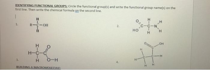 Solved IDENTIFYING FUNCTIONAL GROUPS: Circle the functional | Chegg.com