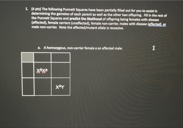 Solved (4 pts) The following Punnett Squares have been | Chegg.com