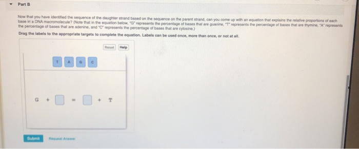 Solved Part B - Comparing RNA and DNA Sort the parts of a | Chegg.com