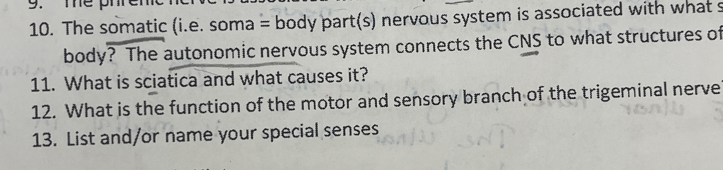 Solved The somatic (i.e. ﻿soma = ﻿body part(s) ﻿nervous | Chegg.com