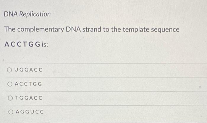 Solved DNA Replication The complementary DNA strand to the | Chegg.com