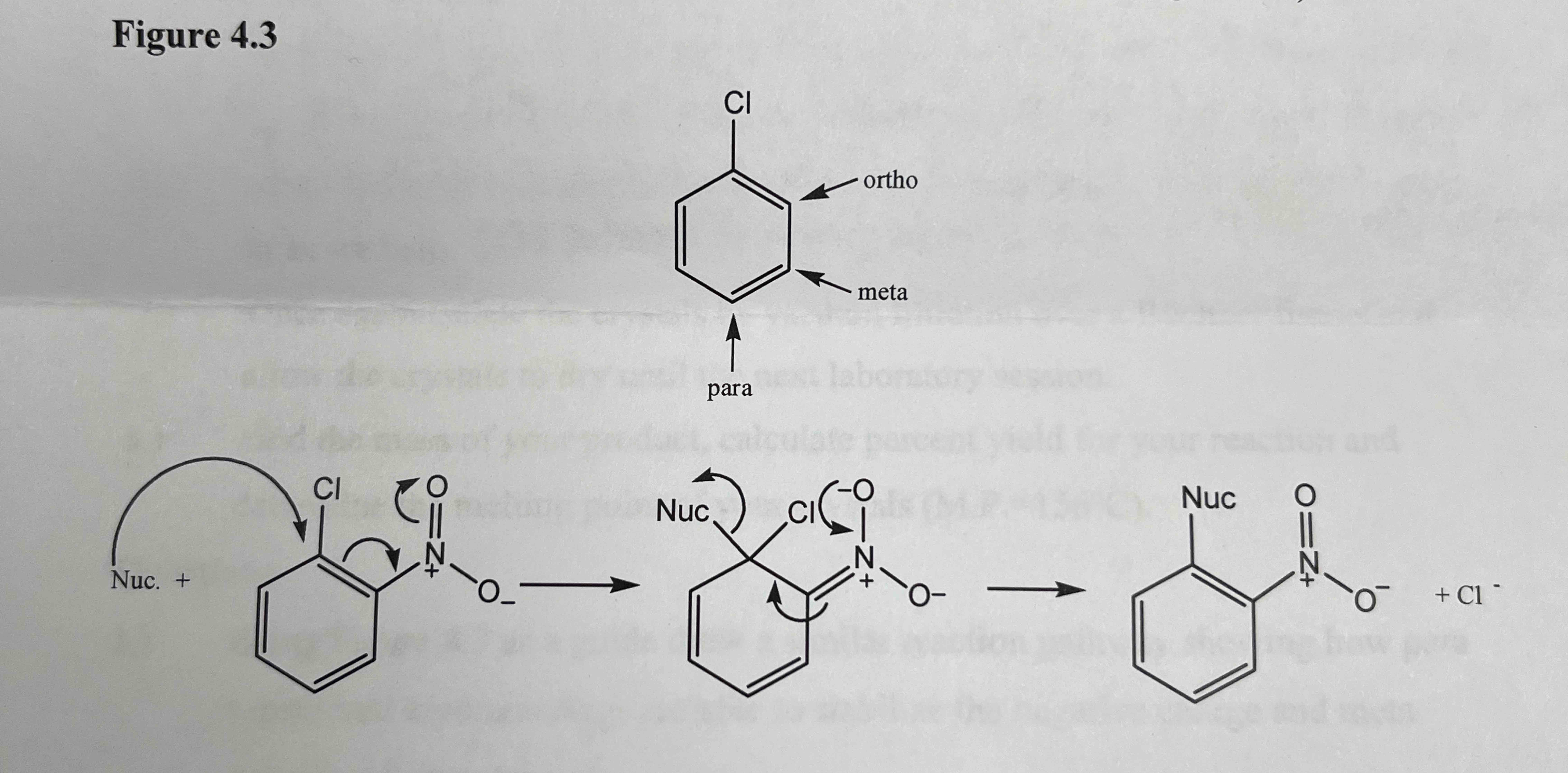 Solved using Figure 4.3 ﻿as a guide, draw a similar reaction | Chegg.com