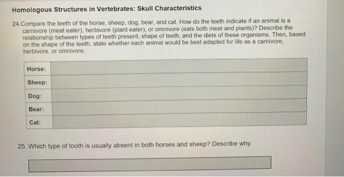 Solved Homologous Structures in Vertebrates: Skull | Chegg.com