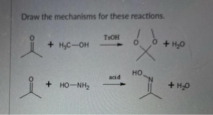 Solved Draw the mechanisms for these reactions. TsOH + | Chegg.com