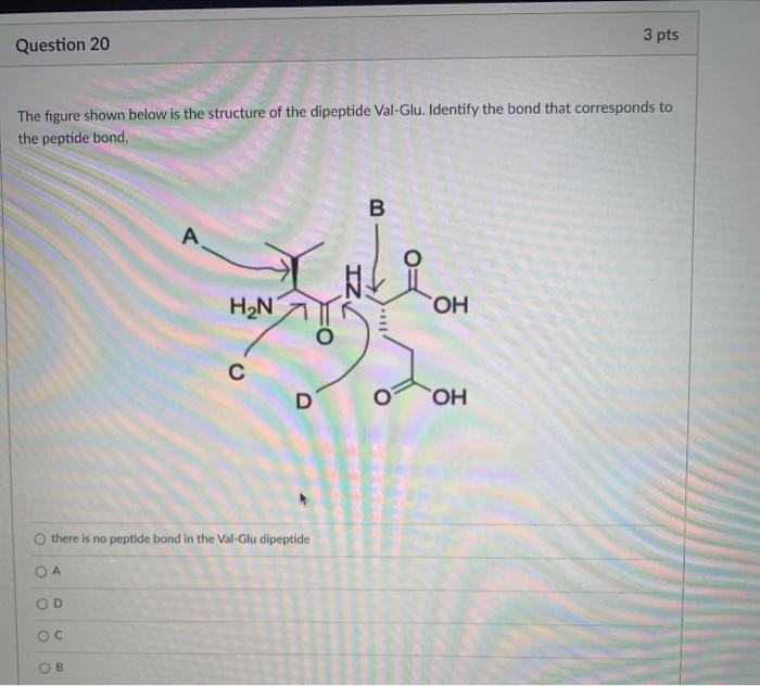 Solved 3 pts Question 20 The figure shown below is the | Chegg.com