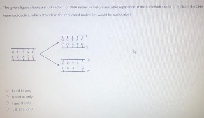 Solved The given figure shows a short section of DNA | Chegg.com