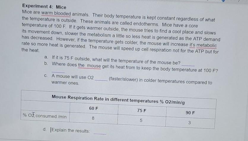 Solved Experiment 4: Mice Mice are warm blooded animals. | Chegg.com