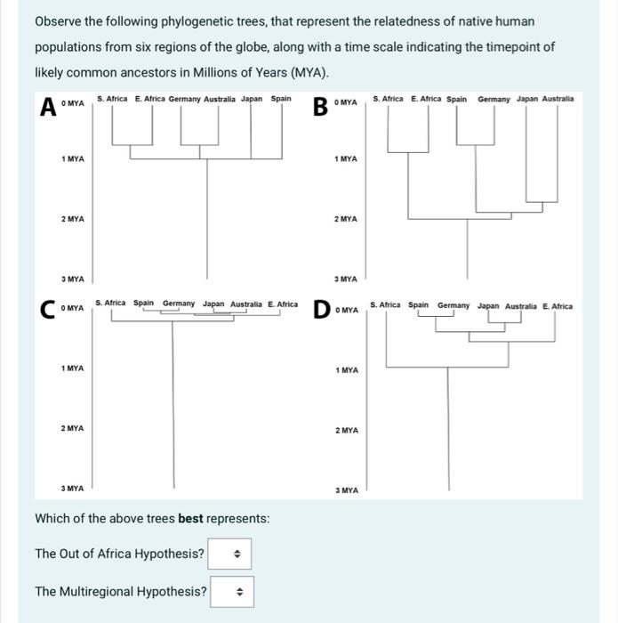 Solved Observe the following phylogenetic trees, that | Chegg.com
