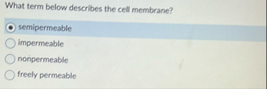 Solved What term below describes the cell | Chegg.com